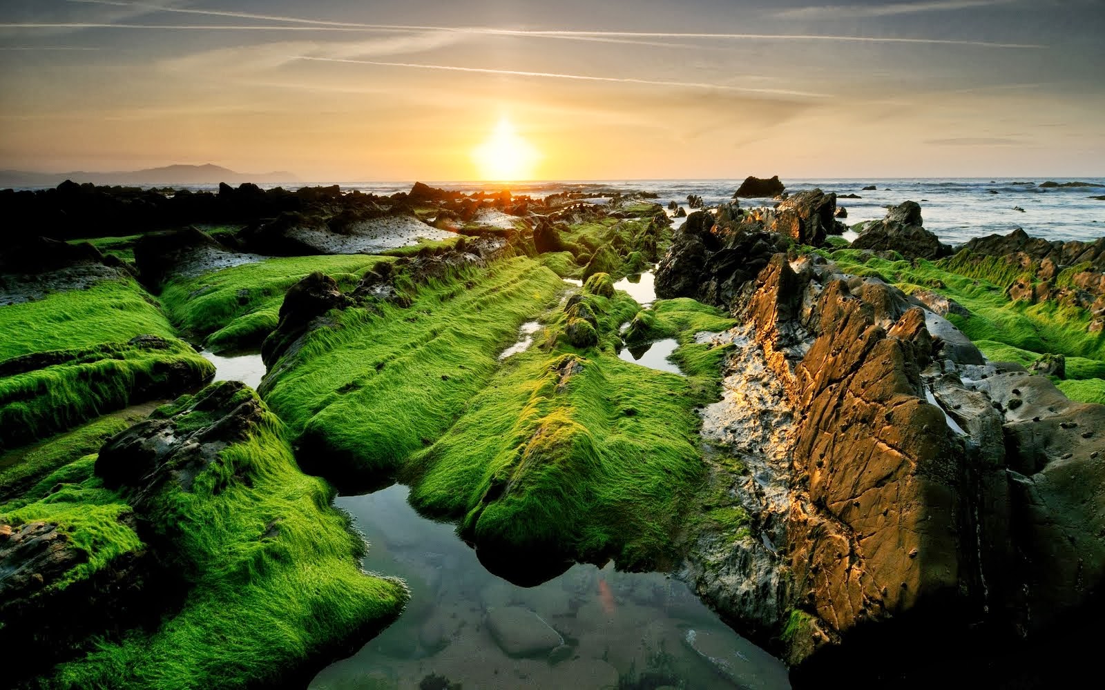 informasi aneh, unik dan gokil: Amazing Facts Nature Full Wallpapers