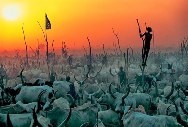 Impresionantes imágenes de los Dinka, una tribu de Sudán.
