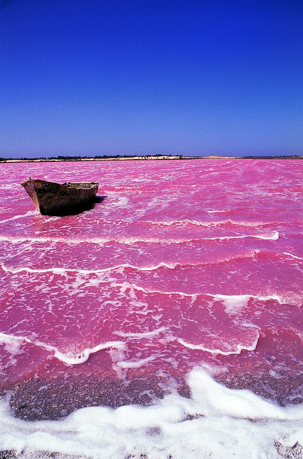 Fieggentrio: Lake Retba (Senegal)