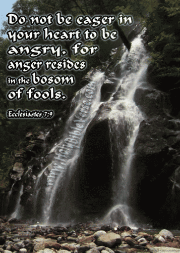 Holy Bible Animated GIF Images: Beautiful Holy Bible Verse Images in ...