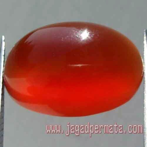 Batu Akik Red Rafflesia -Jual Batu Permata Hobi Permata