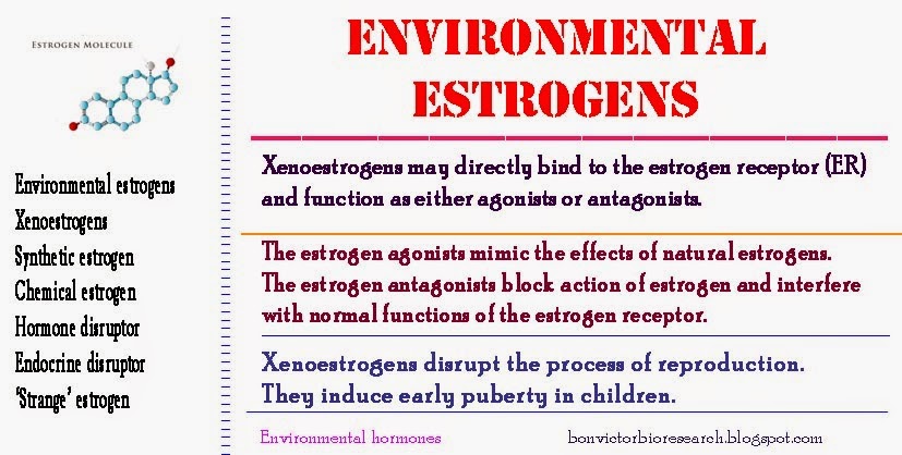 bonvictor bioresearch: Environmental hormones