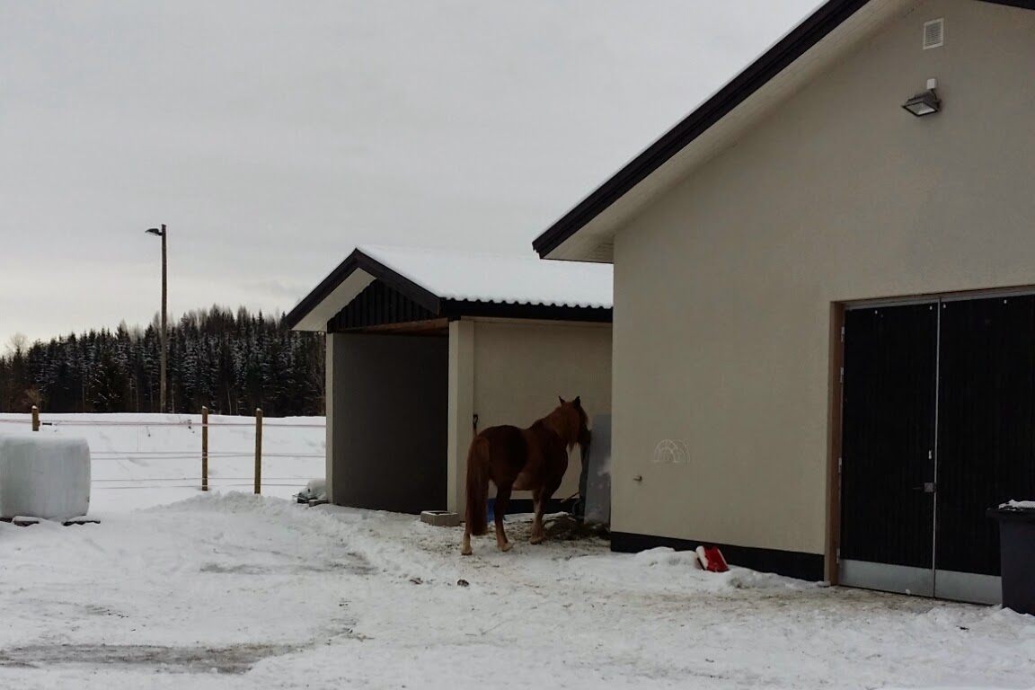 Vipsu lypsää - Viba