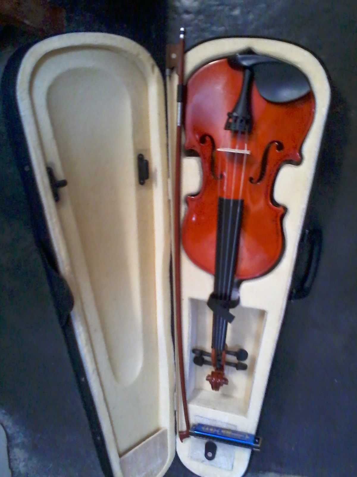 Pertama kali punya biola