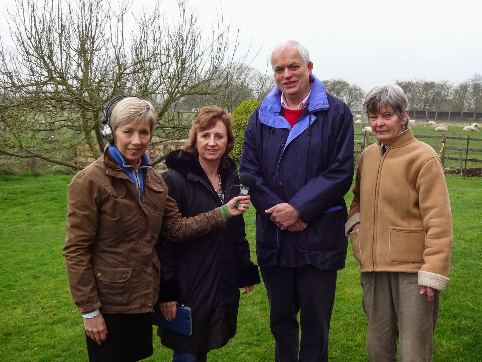 Wildlife Diary from Naunton Beauchamp: Upton Snodbury Chicken Broiler ...