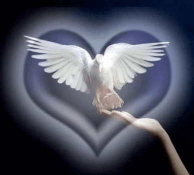 El corazón puro ~ Orando Solos Juntos