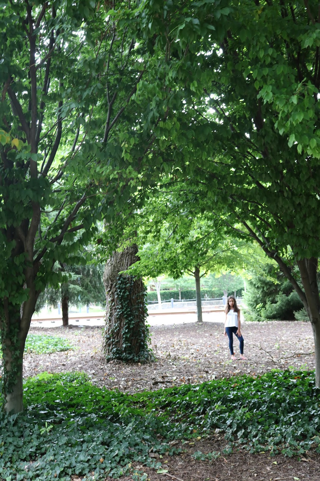 Kids e-Connection: Fourteen #Katorse #Catorce