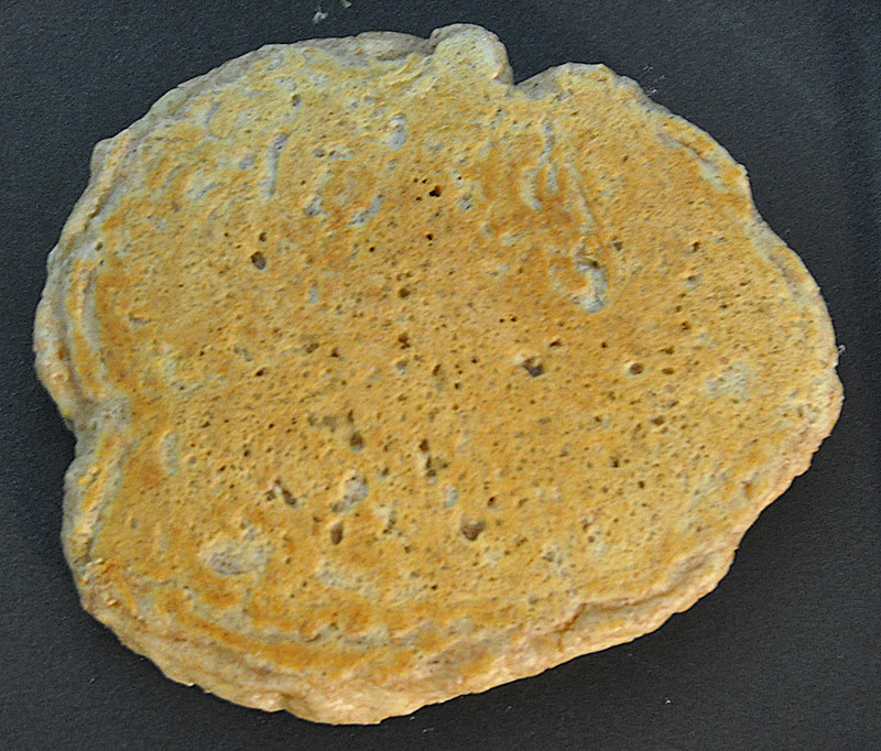 BethAnne on a Budget: Almost Whole Wheat Pancakes