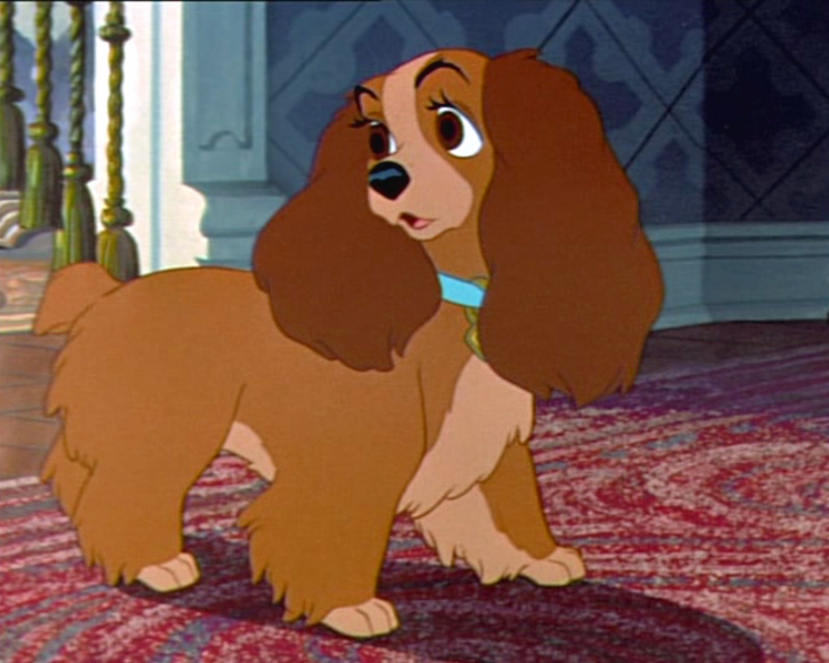 Signorina va in città: Razze diverse