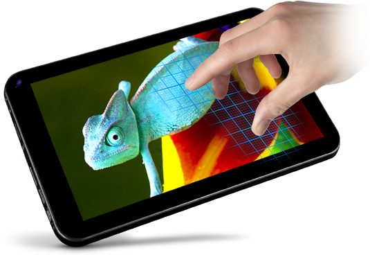 Buzz Learner: Touchscreen