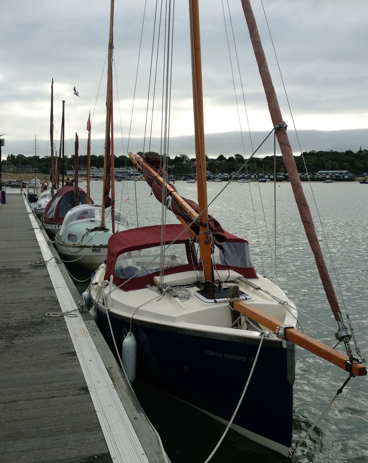 South Coast Shrimper: Solent Cruise - Saturday 7th - Friday 13th ...