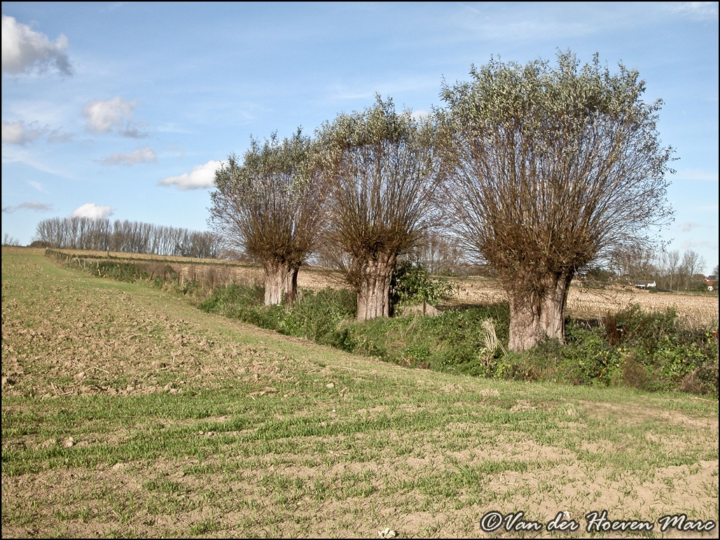 Landelijk Aaigem: Wandeling naar Ressegembos