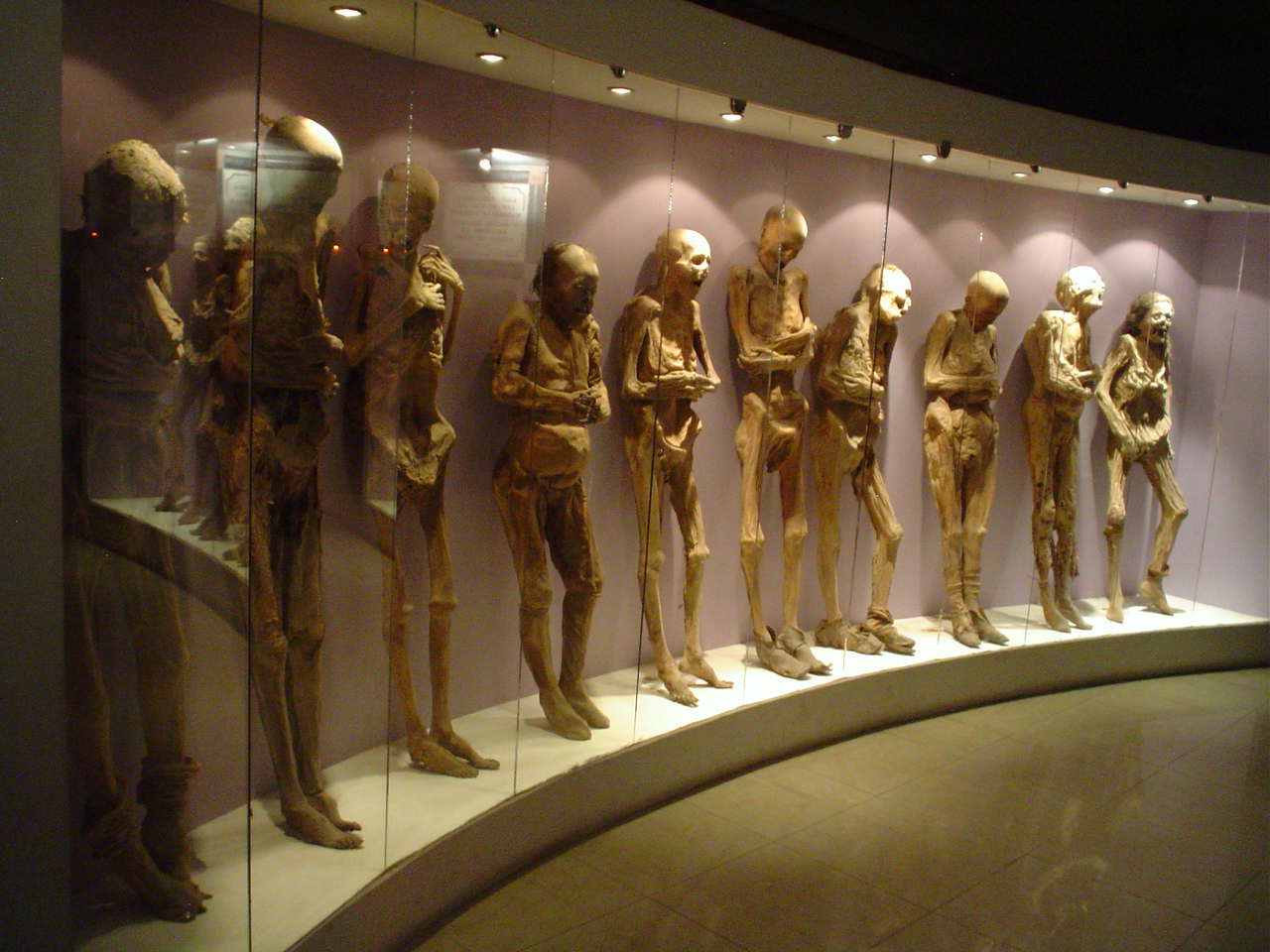 Jesse Contra Los Luchadores: Santo en Las Momias de Guanajuato