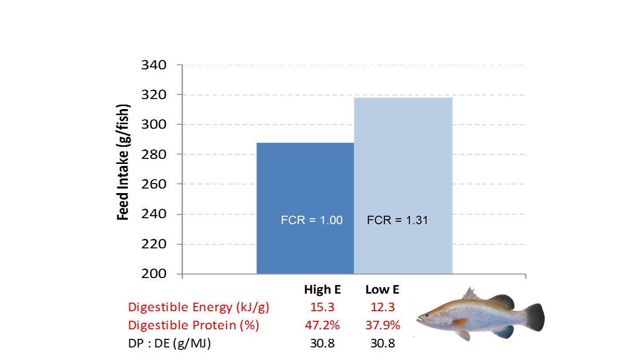 The Aquaculturists: 16/08/2016: Fueling the fire within - digestible ...
