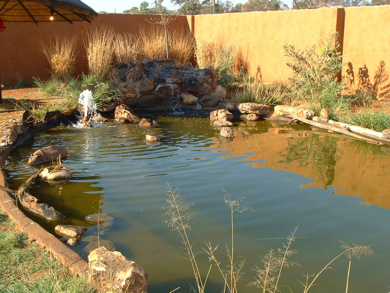 African Water Ponds