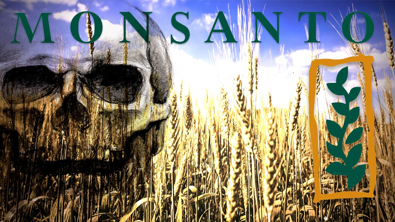 MONSANTO NO SANO: ¿Quién soy yo?