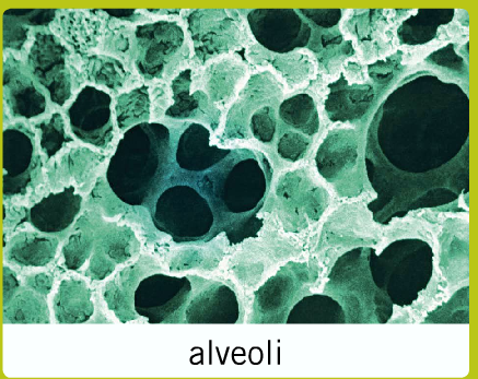 Mi primer año en Red XXI: enero 2014