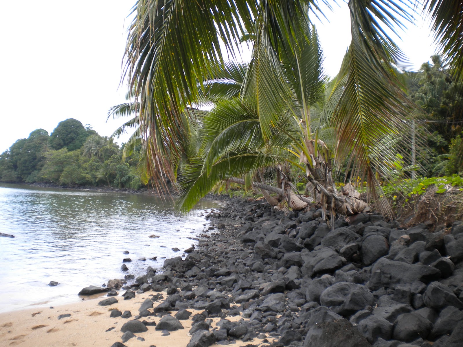 Mission to Samoa: Pigs and Samoan smiles