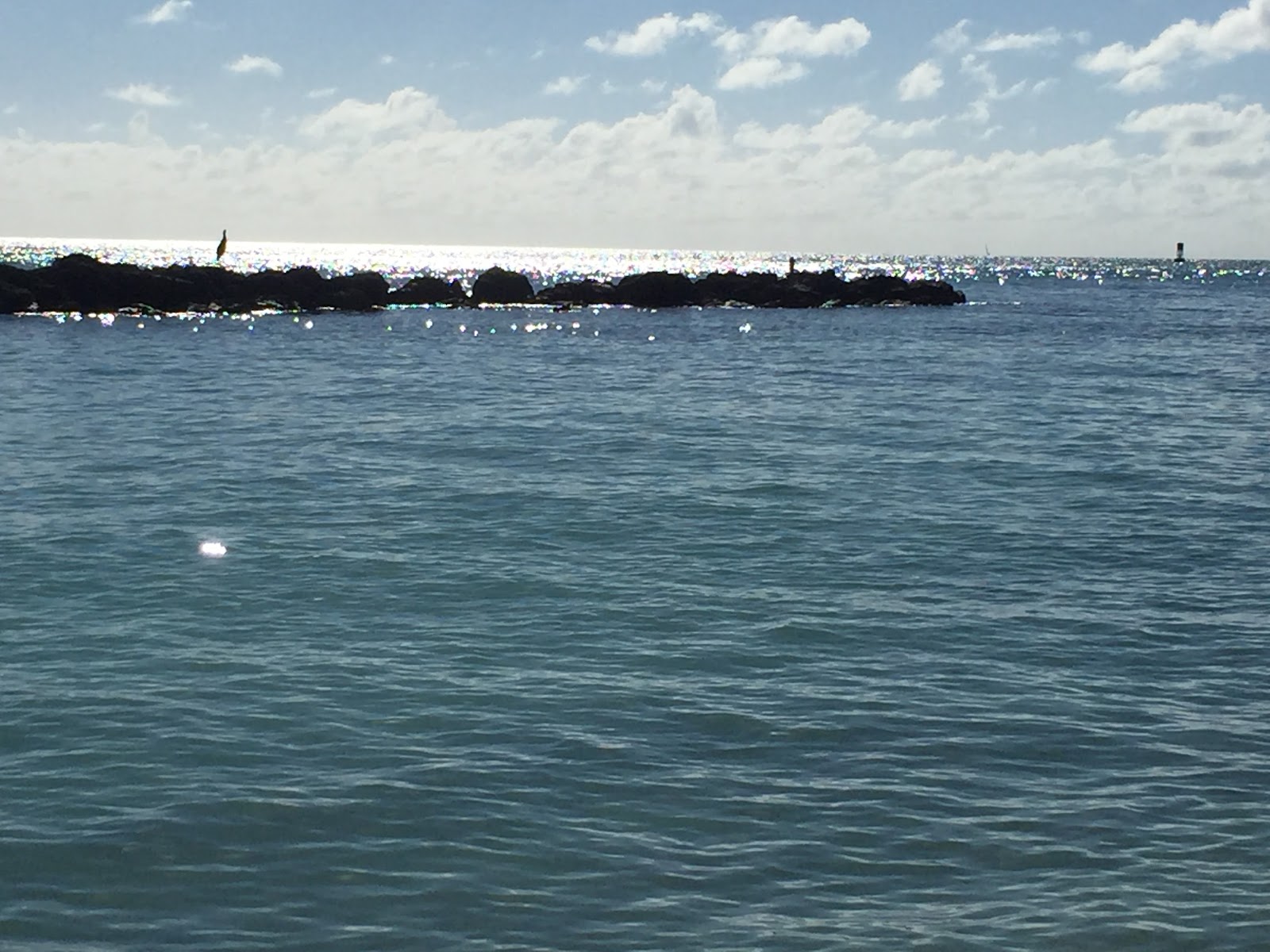 Visit Key West: Beautiful Key West