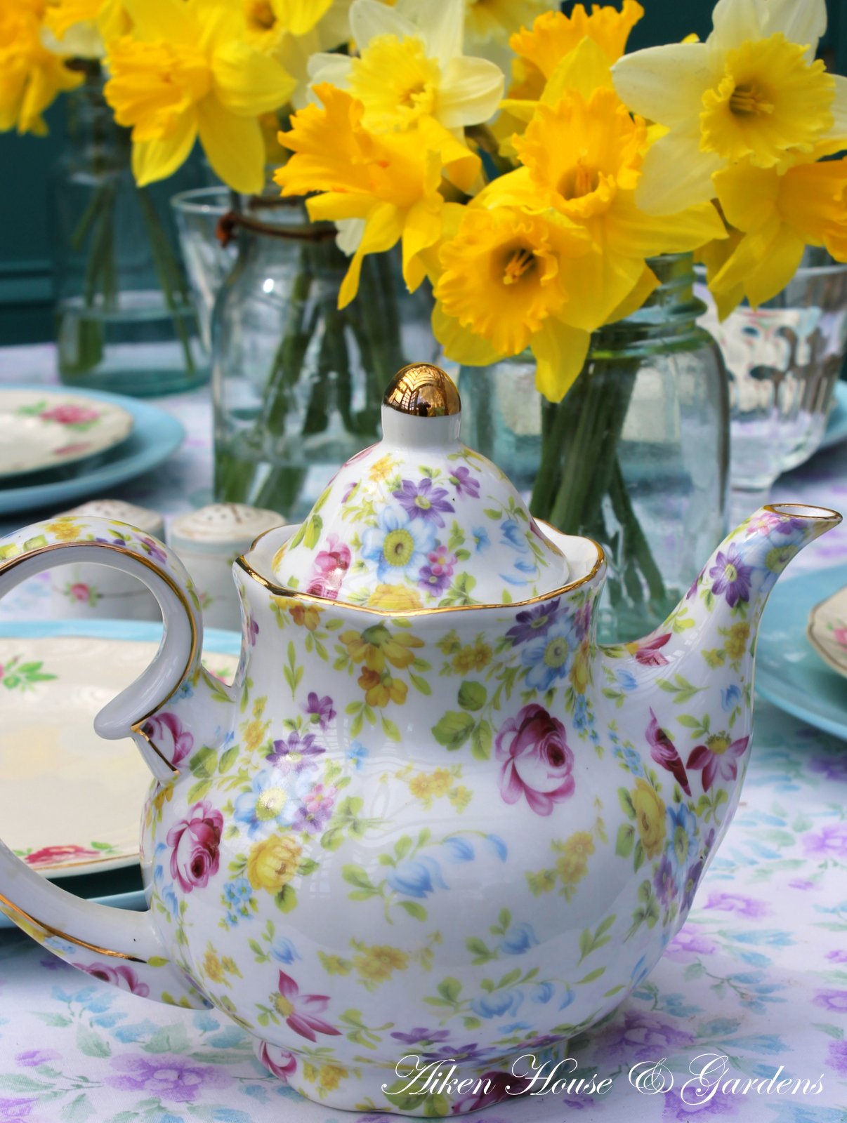 Aiken House & Gardens: Early Spring Garden