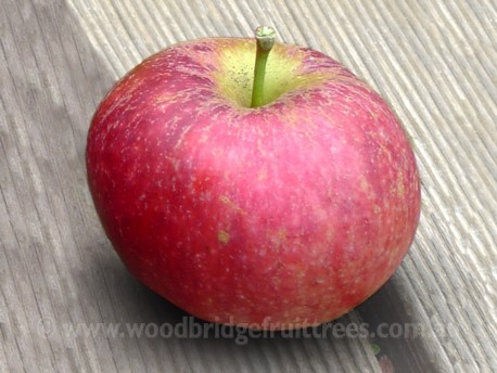 Cuisine Macrobiotique: THE OLD APPLE