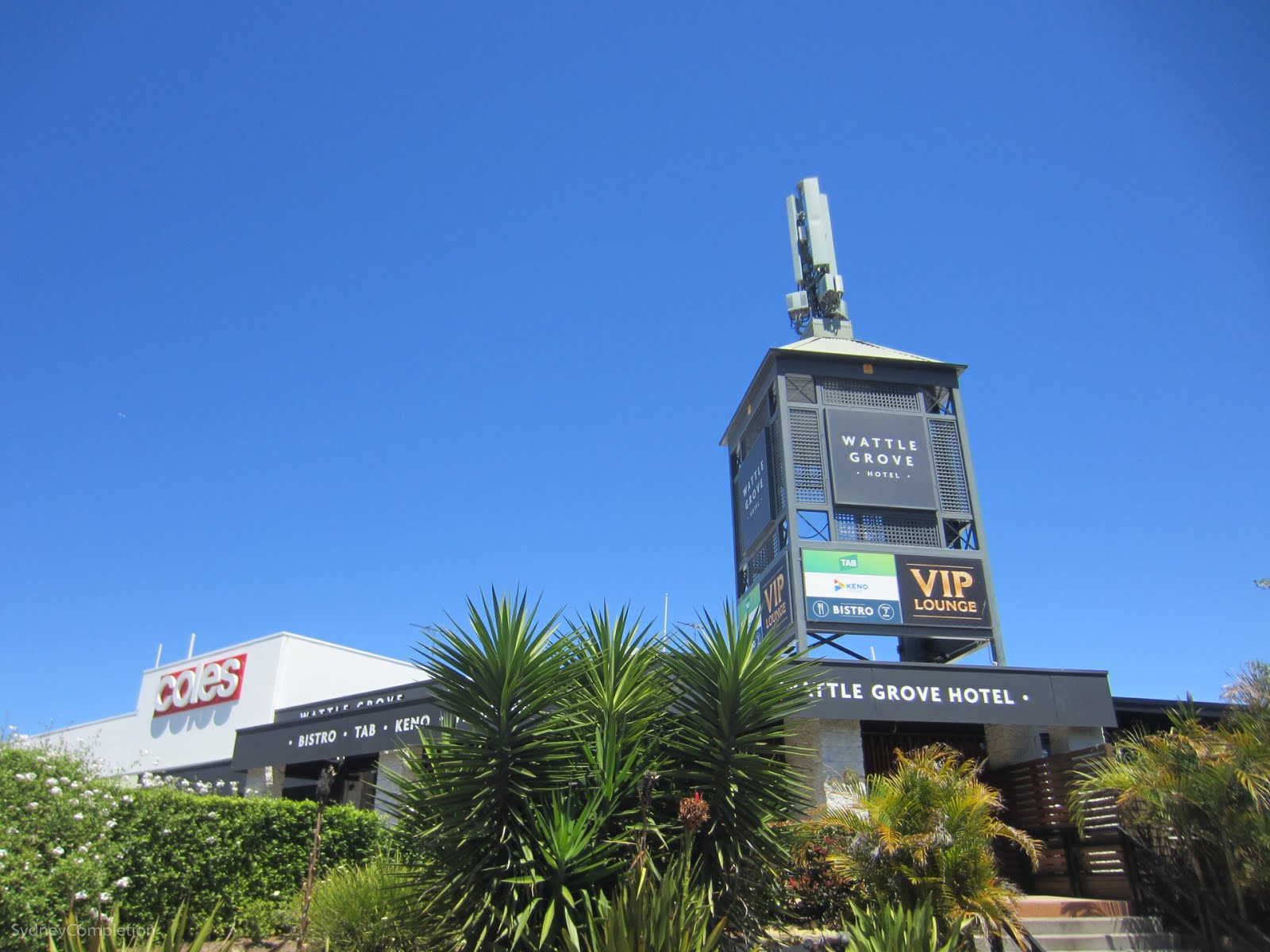 Wholesome: Wattle Grove - Completing Sydney