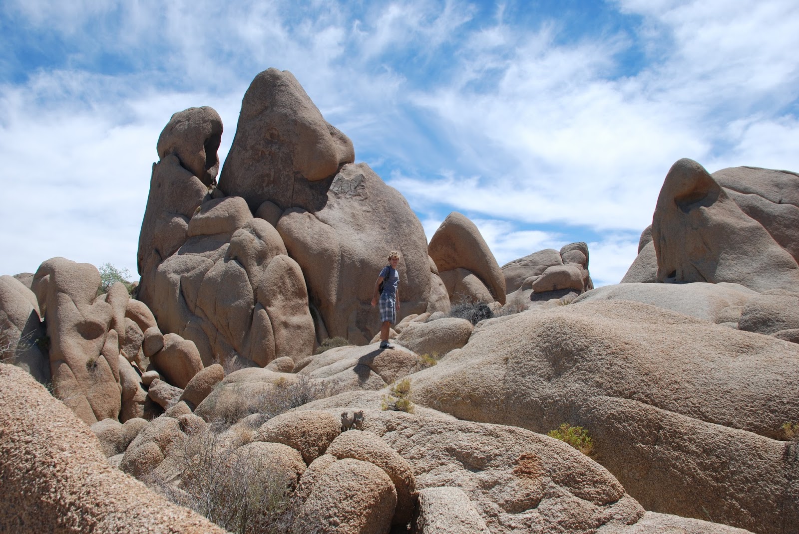 The Hiking Hokie: Joshua Tree National Park