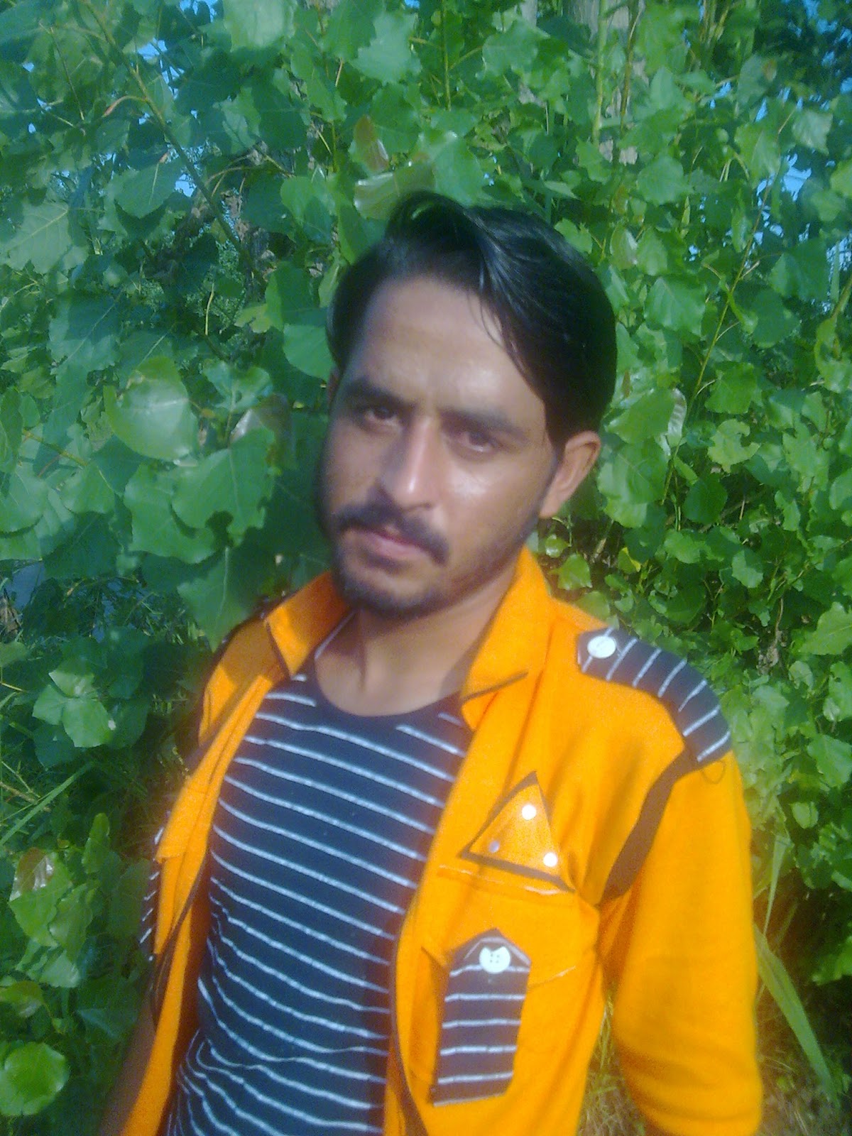 yar muhammad khan sherpur mansehra