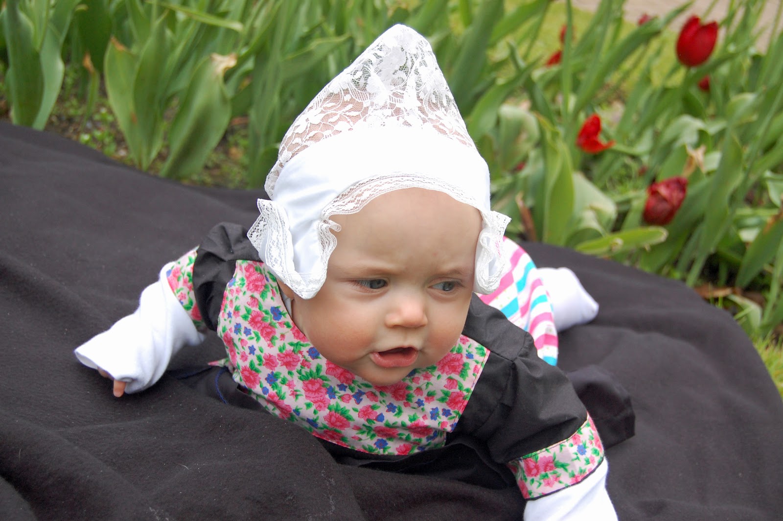 Rysdam Family: Dutch kids