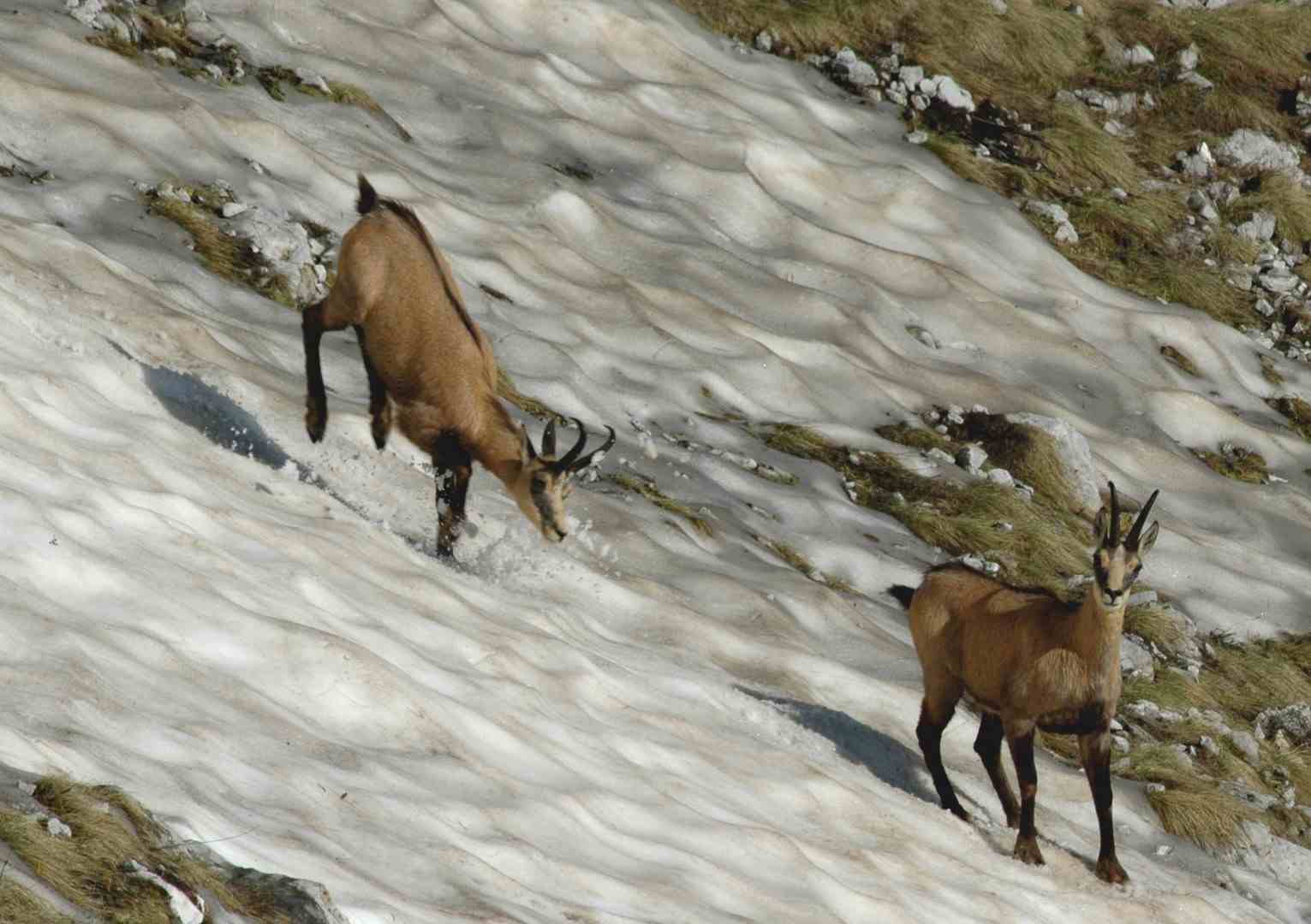 ИСТОРИЈСКА СВАШТАРА: Тројанске планине - Проклетије - географски ...