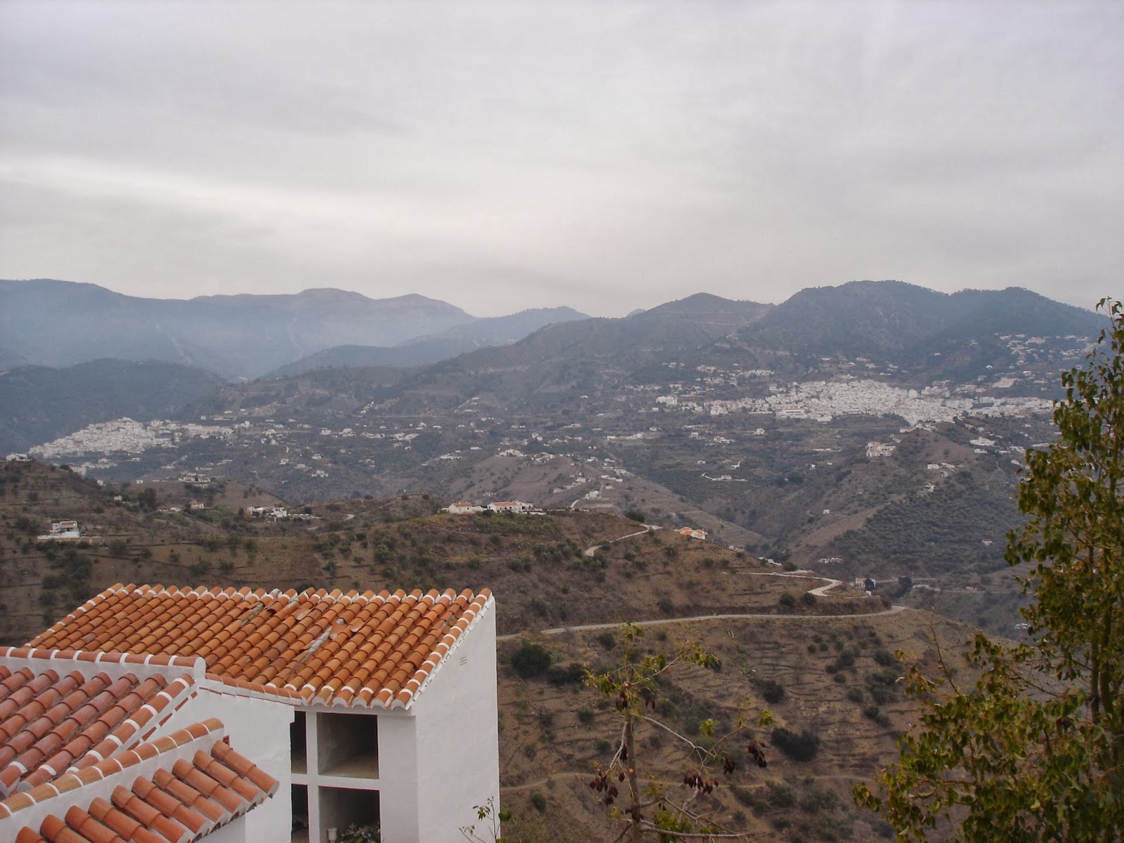 La agenda de Zalabardo: UN PASEO POR LA AXARQUÍA (SENDERO SAYALONGA ...