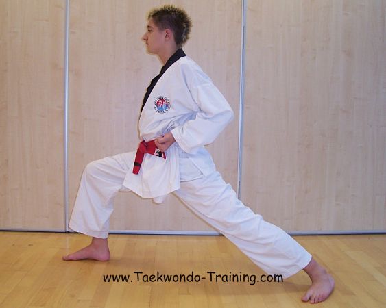 Traditional Taekwondo Ramblings: The Pillars of Taekwondo Training Part ...