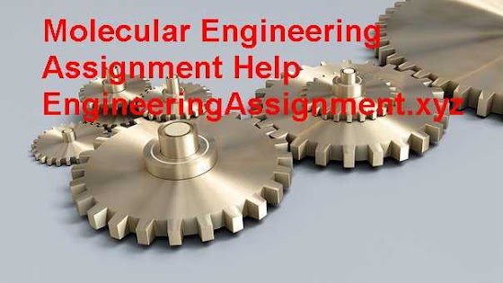 Fluidization Engineering Homework Help