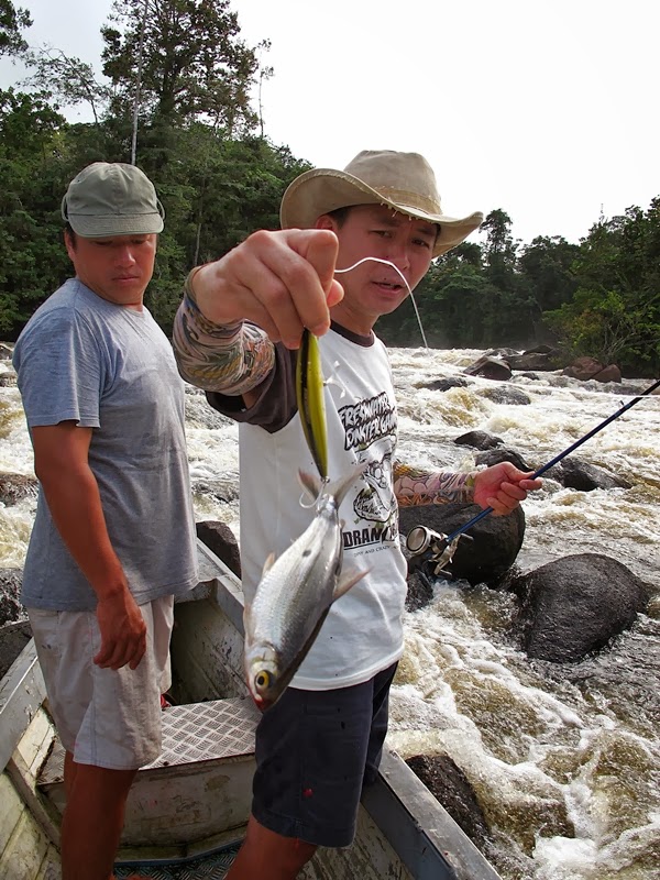 ANGLING WORLD 魔魚釣界: The Exotic Amazon Game Fish - Aimara