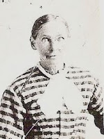 They Came to America . . .: William Whitehead 1839-1881