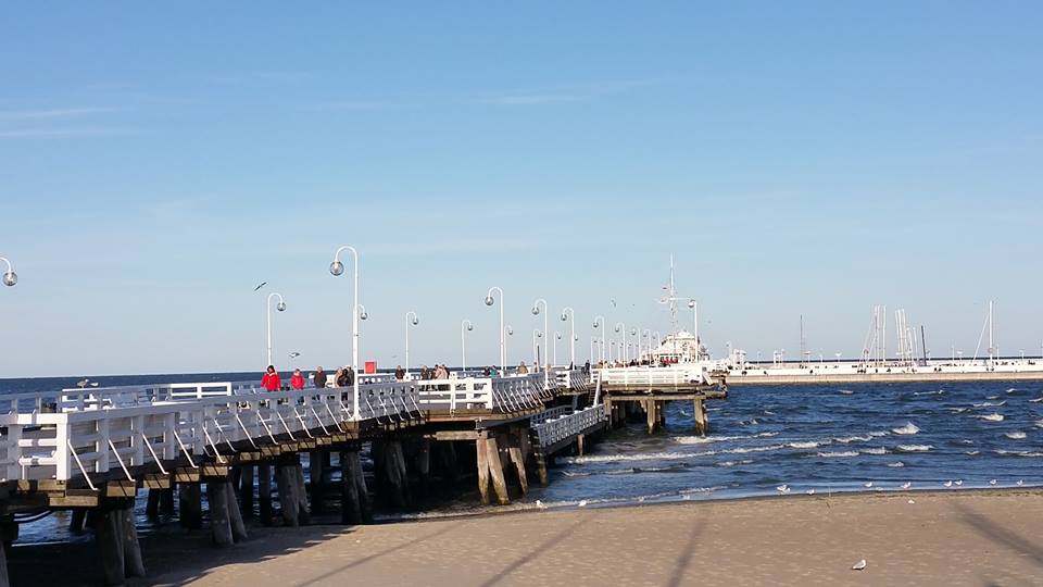 Tree Quest: An Unexpected Journey: On the trails of our ancestors