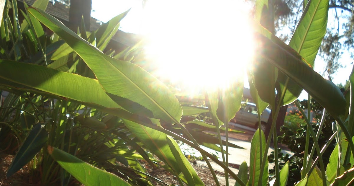 A Friend Loves at All Times: ~Random Nature Pics~