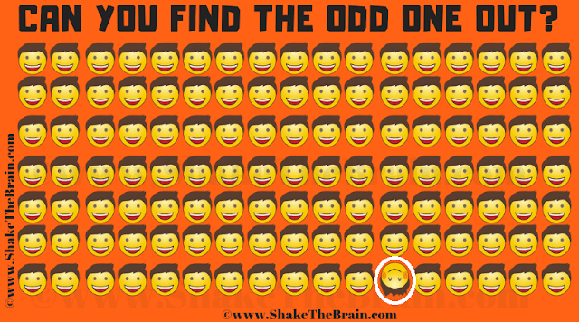 Odd One Out Picture Puzzle with Answer