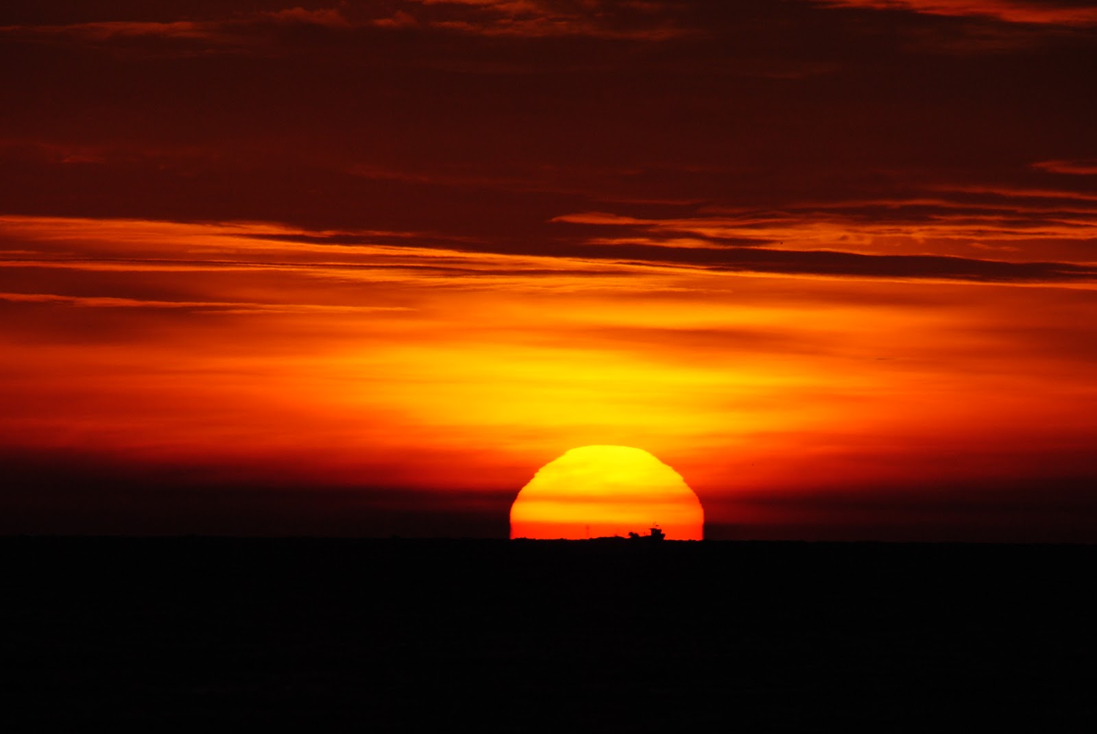 Amazing Sunrise - Serenity Farne Islands Boat Tours and Trips