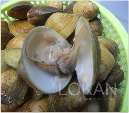 Azian Collections: RENDANG LOKAN