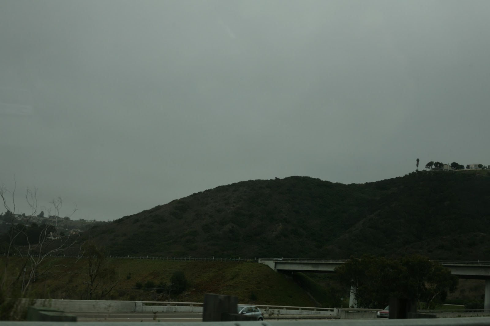 37 States, 39 Days: Top Gun Friday