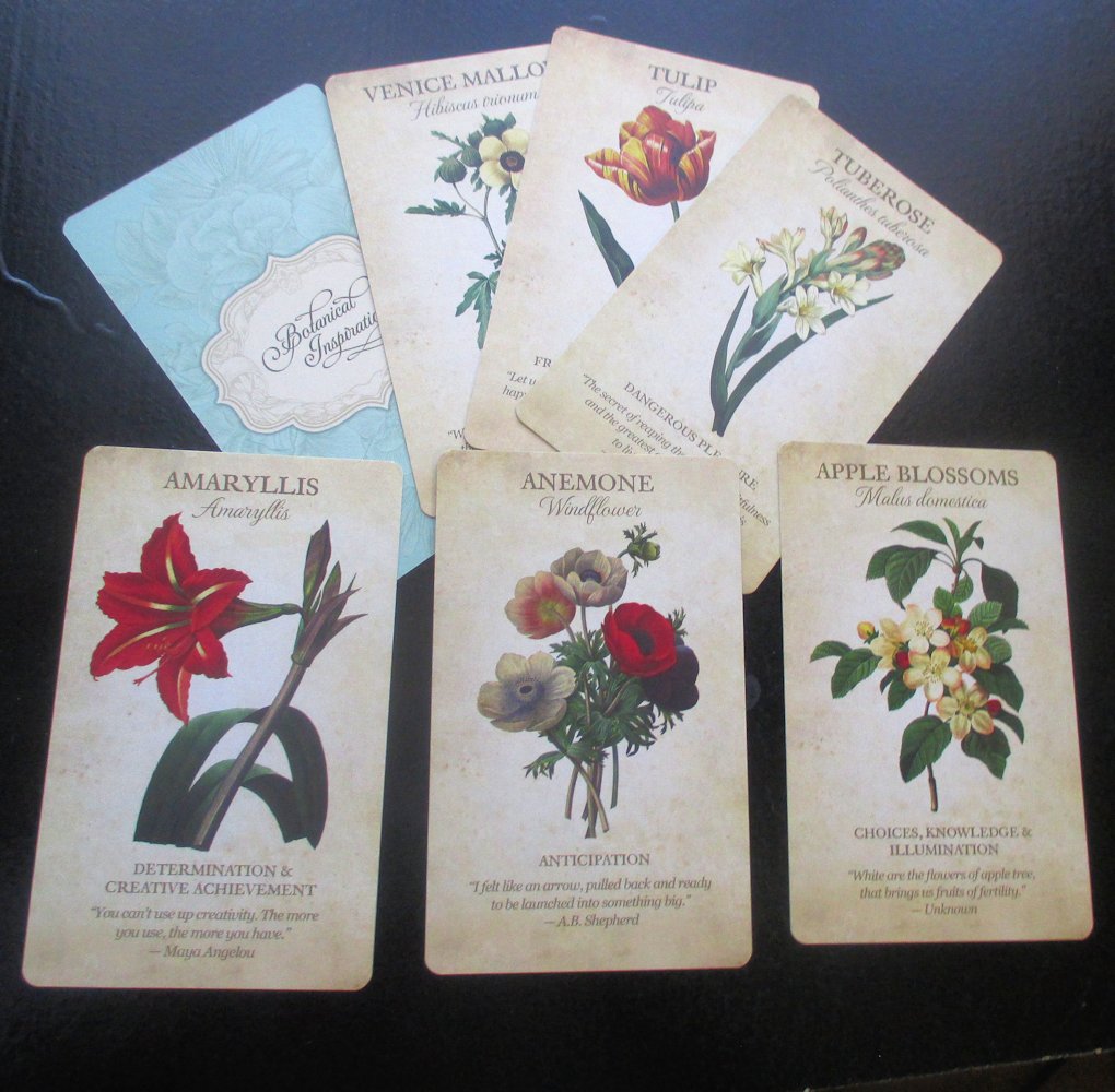 Tarot Notes: Review: Botanical Inspirations Deck & Book Set