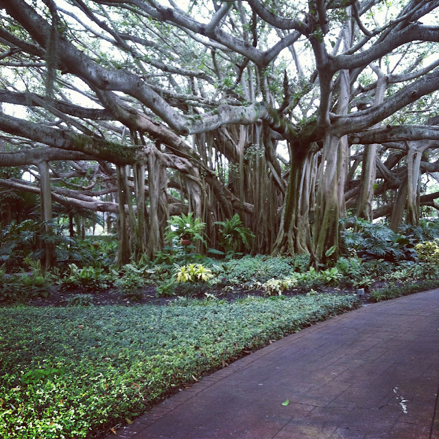 **Wolfelicious**: Legoland