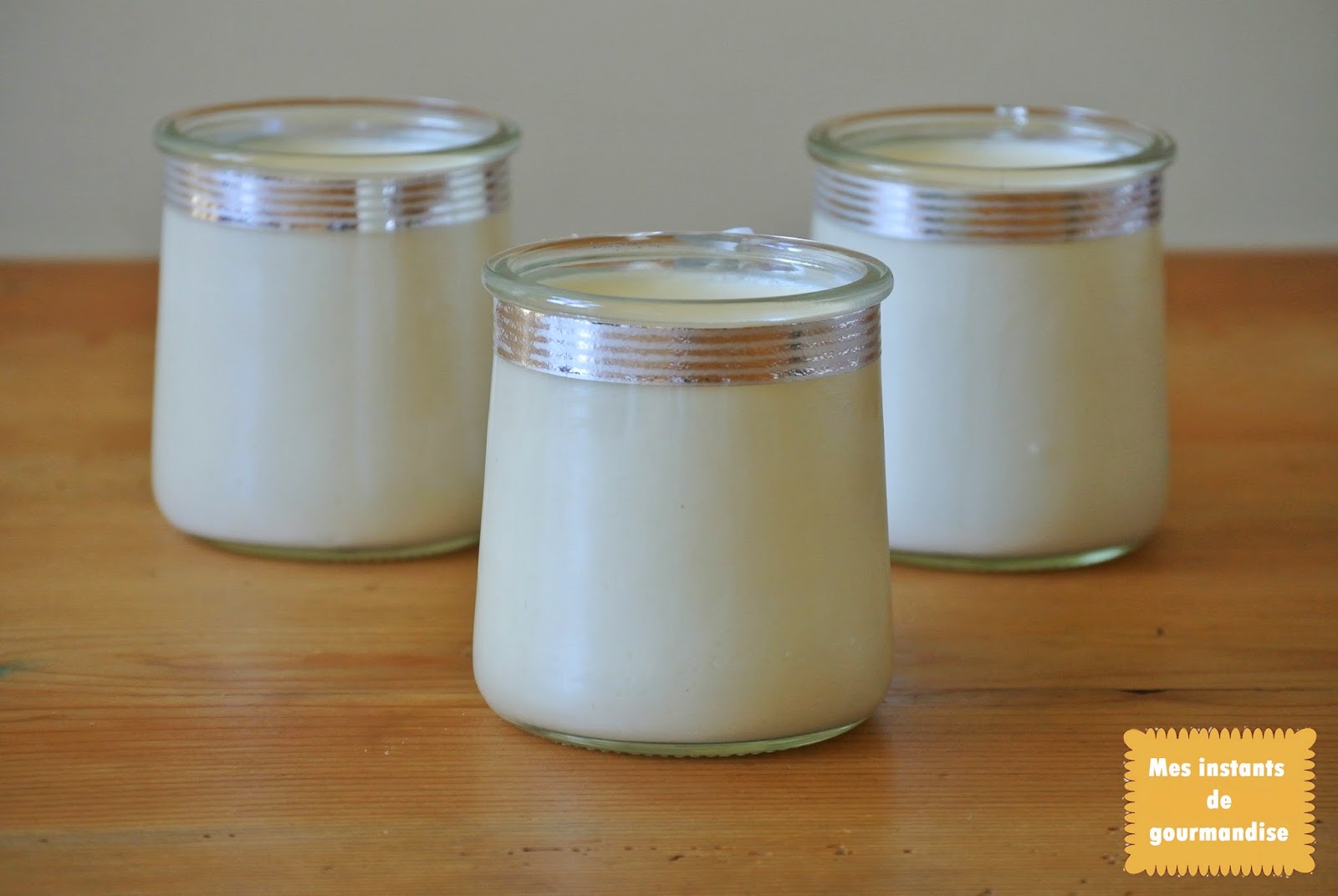 Yaourts nature maison - Mes instants de gourmandise