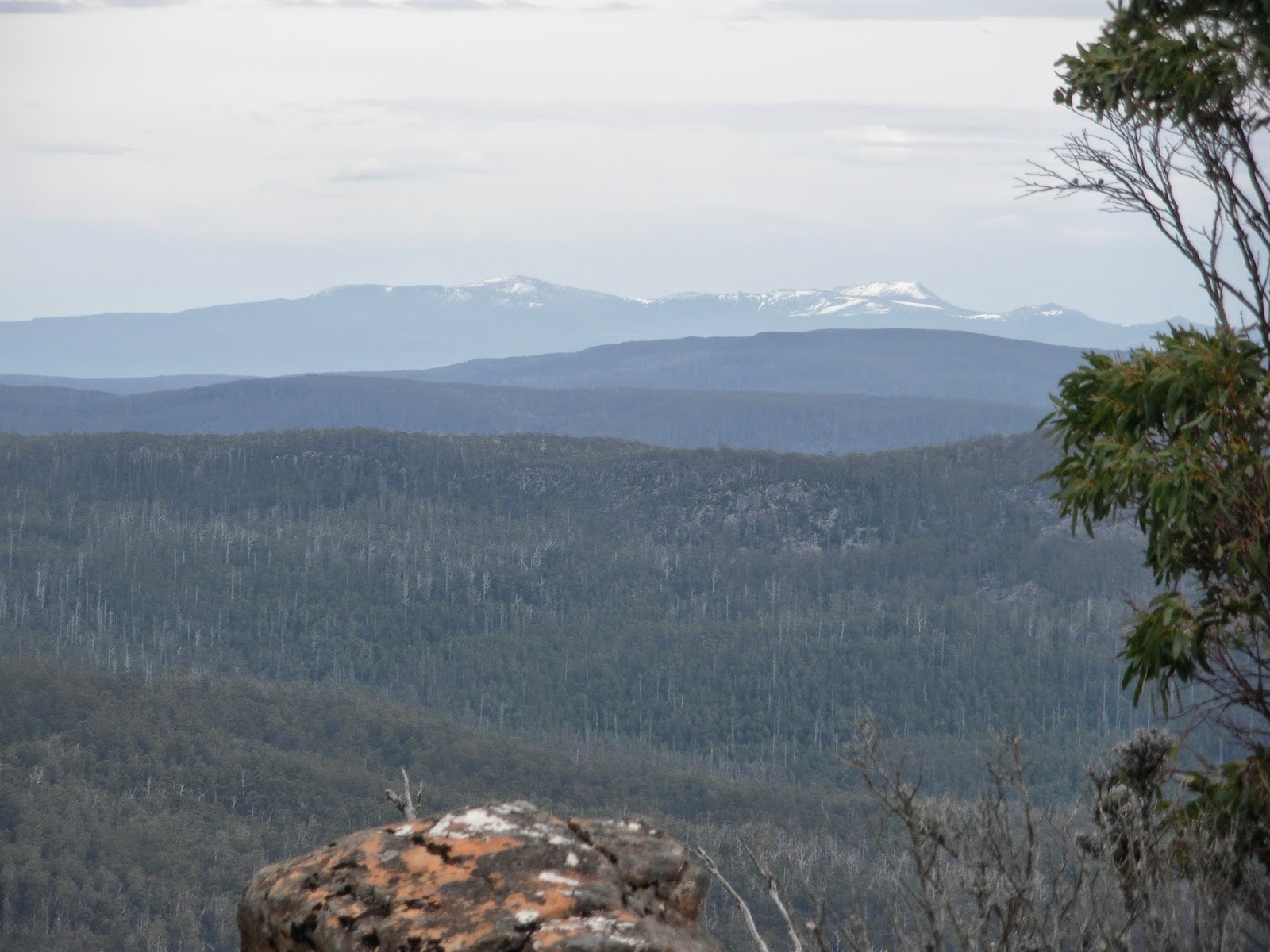 Collins Cap | Hiking South East Tasmania