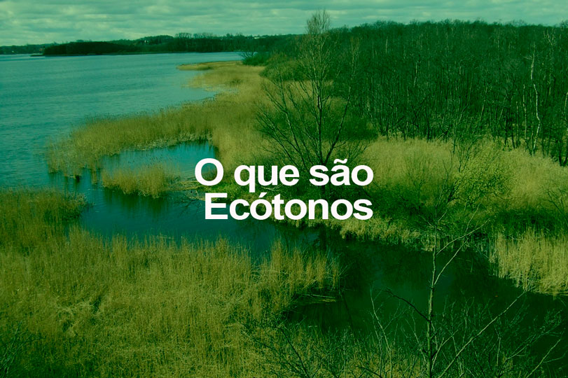 Ciências Humanas - CEEJA "PROFº JOÃO SEGURA" - PENÁPOLIS(SP): ECÓTONO ...