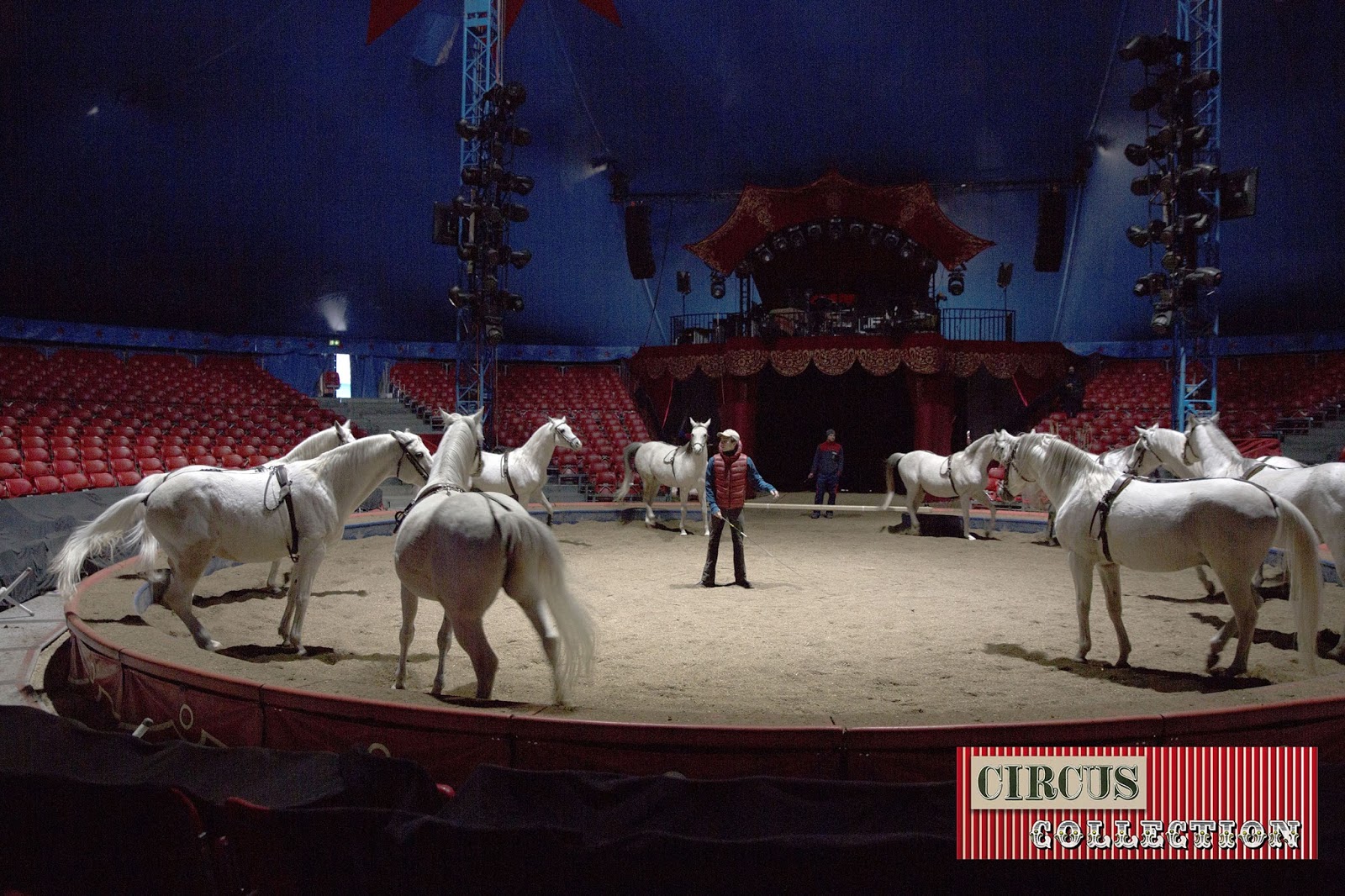 Circus -Collection: Les répétitions du Cirque Knie mardi 31 octobre 2017