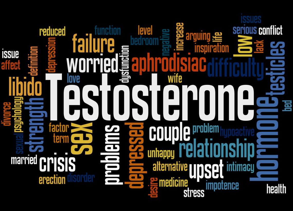 Testo Transformation: Testosteron Guide
