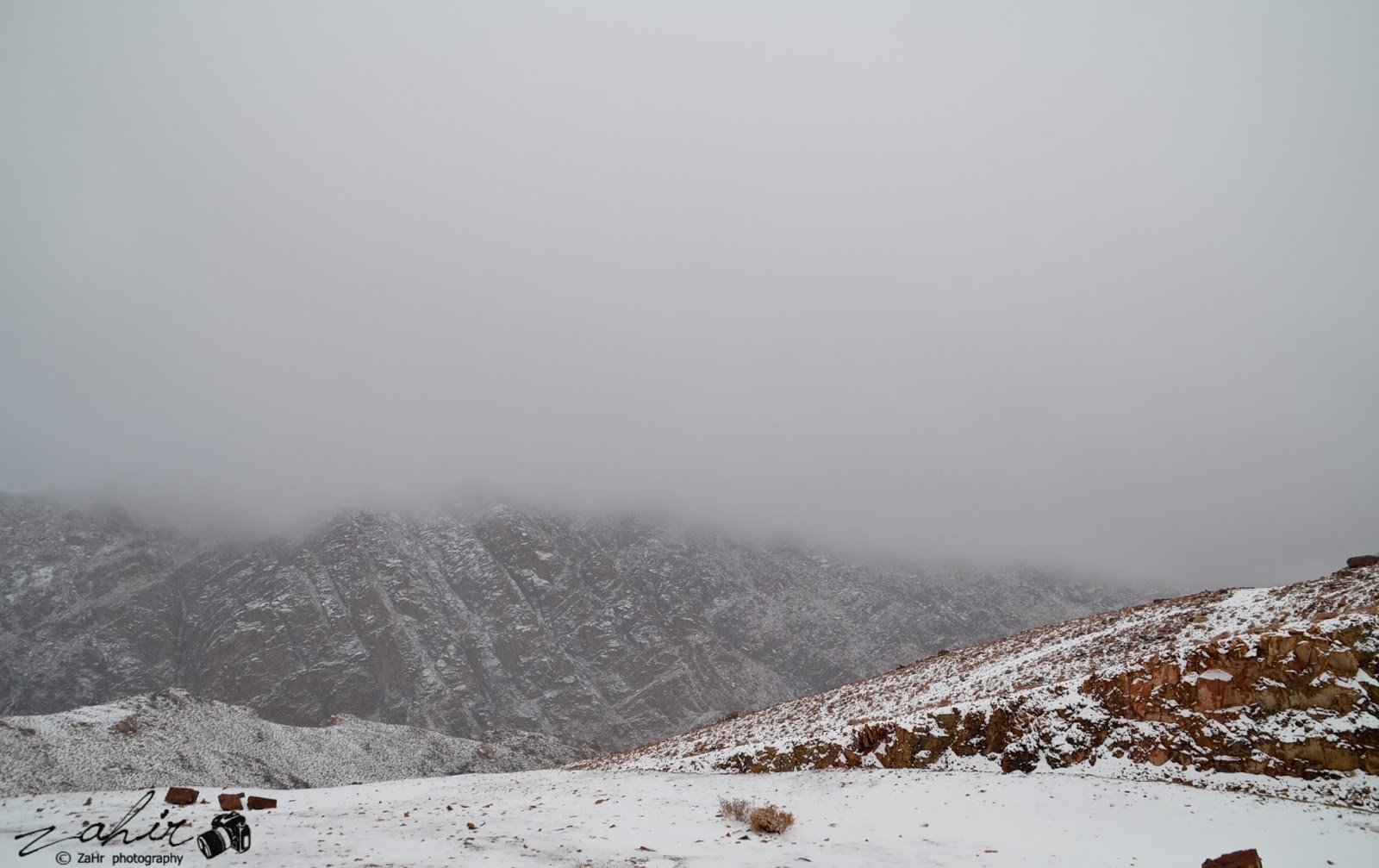 جبل اللوز - Arabic News Collections