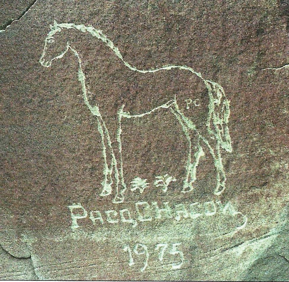 Rock Art Blog: MEET THE ROCK ARTIST - PACOMIO CHACON: